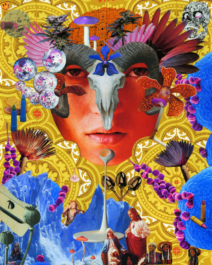 Miss Use Print - DiSect Art