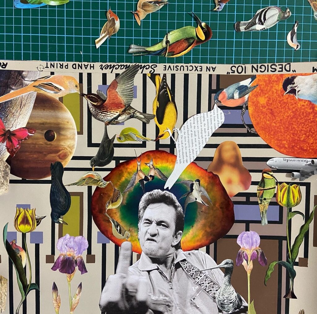 JC Print - DiSect Art